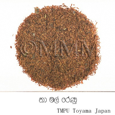 民族薬物データベース