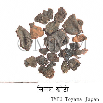 民族薬物データベース