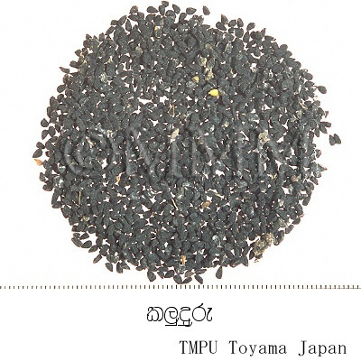 民族薬物データベース