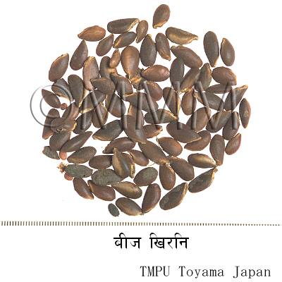 The Data Base of Ethno-medicines in the world (ETHMEDmmm)