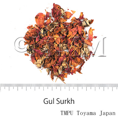 The Data Base of Ethno-medicines in the world (ETHMEDmmm)