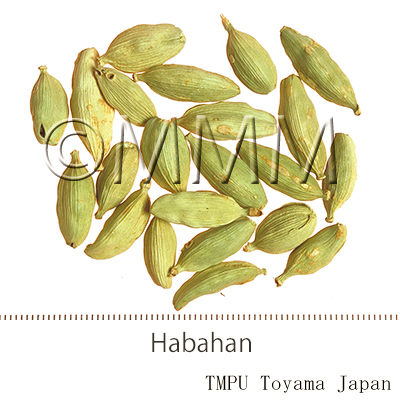 The Data Base of Ethno-medicines in the world (ETHMEDmmm)