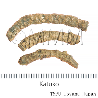 The Data Base of Ethno-medicines in the world (ETHMEDmmm)