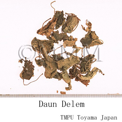 The Data Base of Ethno-medicines in the world (ETHMEDmmm)