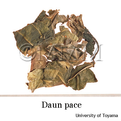 The Data Base of Ethno-medicines in the world (ETHMEDmmm)