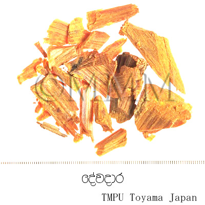 The Data Base of Ethno-medicines in the world (ETHMEDmmm)