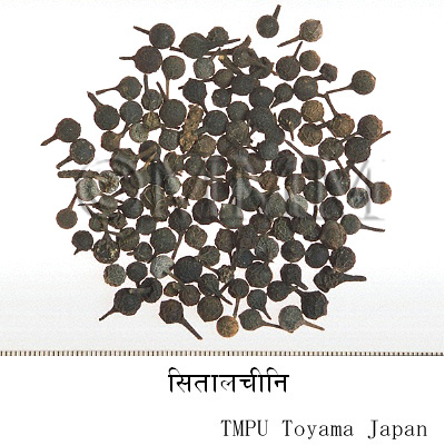 The Data Base of Ethno-medicines in the world (ETHMEDmmm)