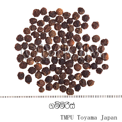 The Data Base of Ethno-medicines in the world (ETHMEDmmm)