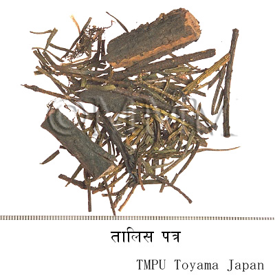 The Data Base of Ethno-medicines in the world (ETHMEDmmm)