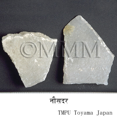 The Data Base of Ethno-medicines in the world (ETHMEDmmm)