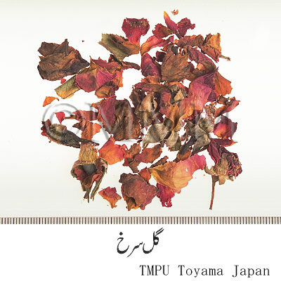 The Data Base of Ethno-medicines in the world (ETHMEDmmm)