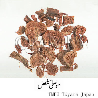 The Data Base of Ethno-medicines in the world (ETHMEDmmm)